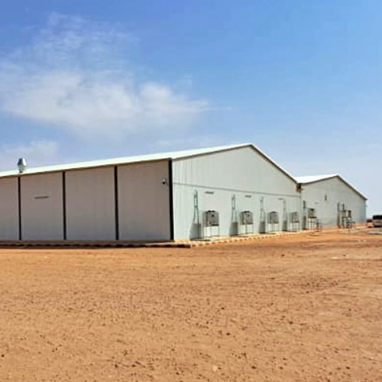 Incubators & Hatcheries | Petersime